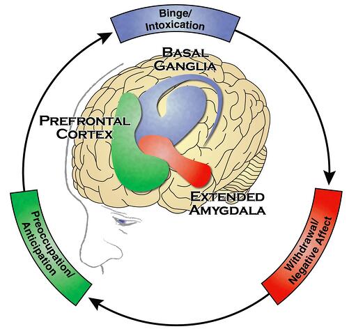The Addiction Cycle: Beginning Stage - Aquila Recovery Clinic